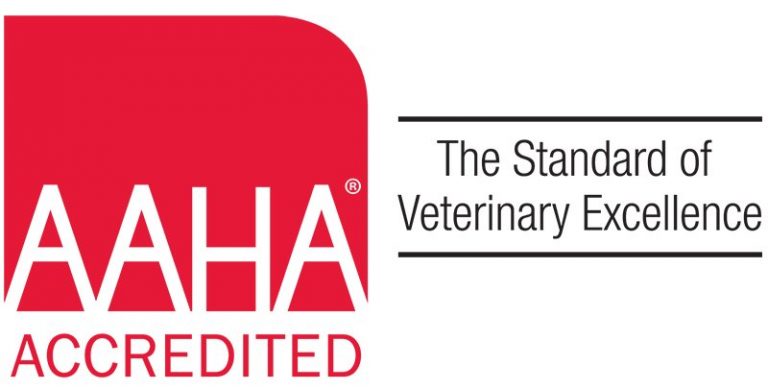 Veterinarian in Westminster, CO | Arrowhead Animal Hospital