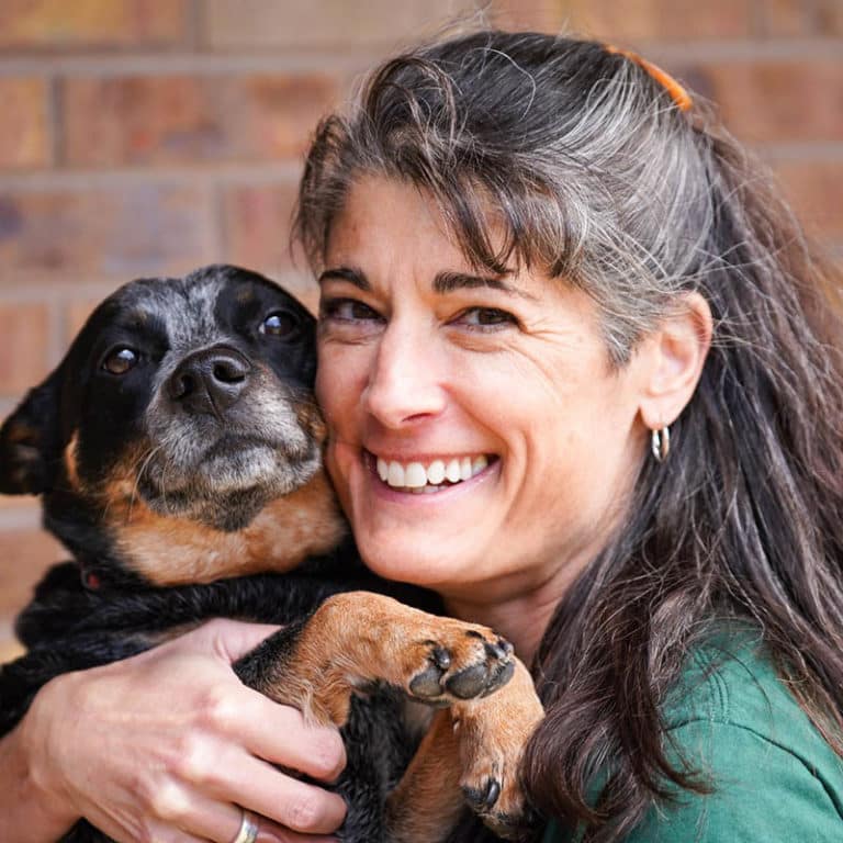 Meet Our Vet Team | Arrowhead Animal Hospital